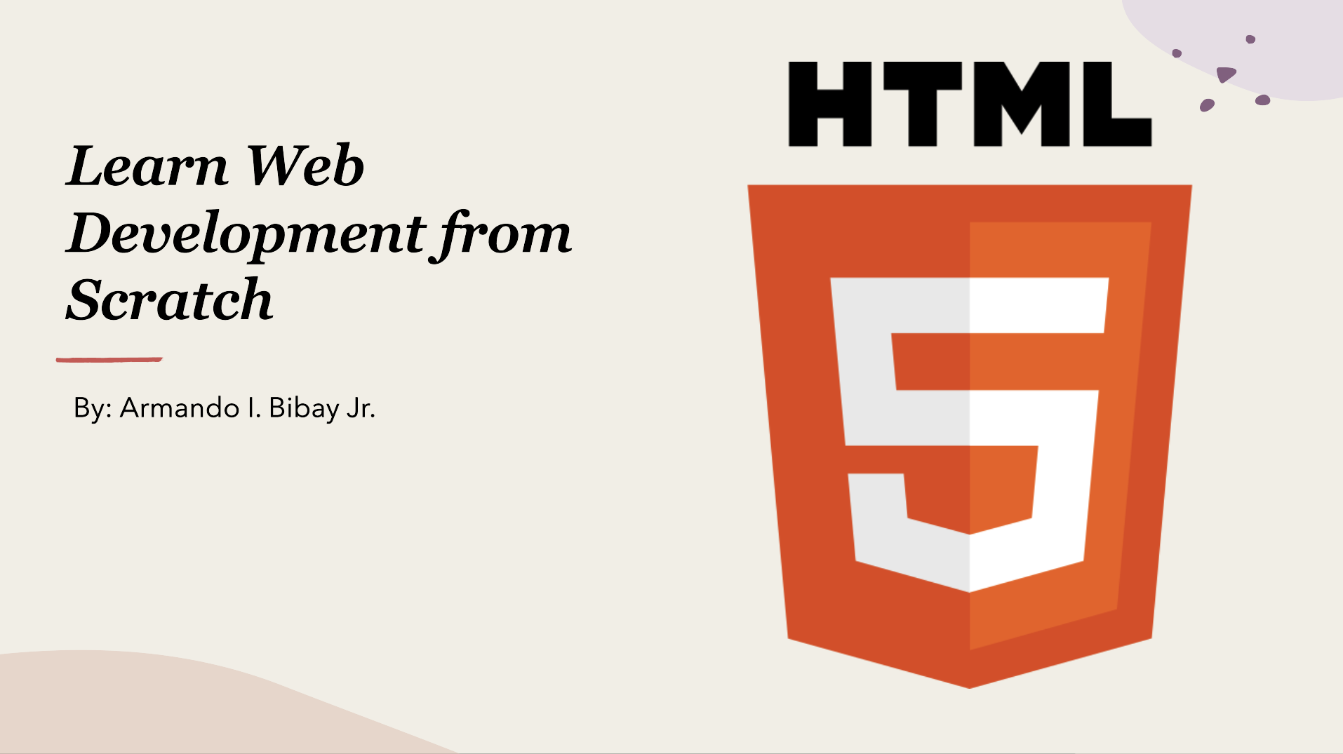 Mr. Armando I. Bibay Jr. | Software Engineer | Educator